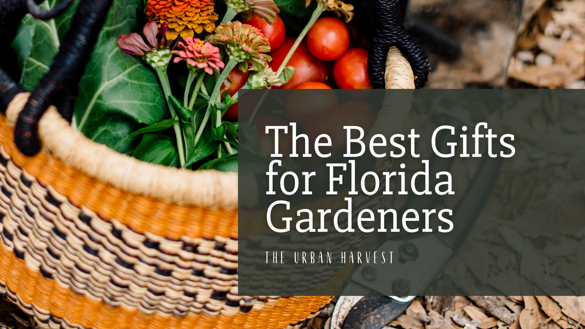 40 Best Gifts for Florida Gardeners – TheUrbanHarvest