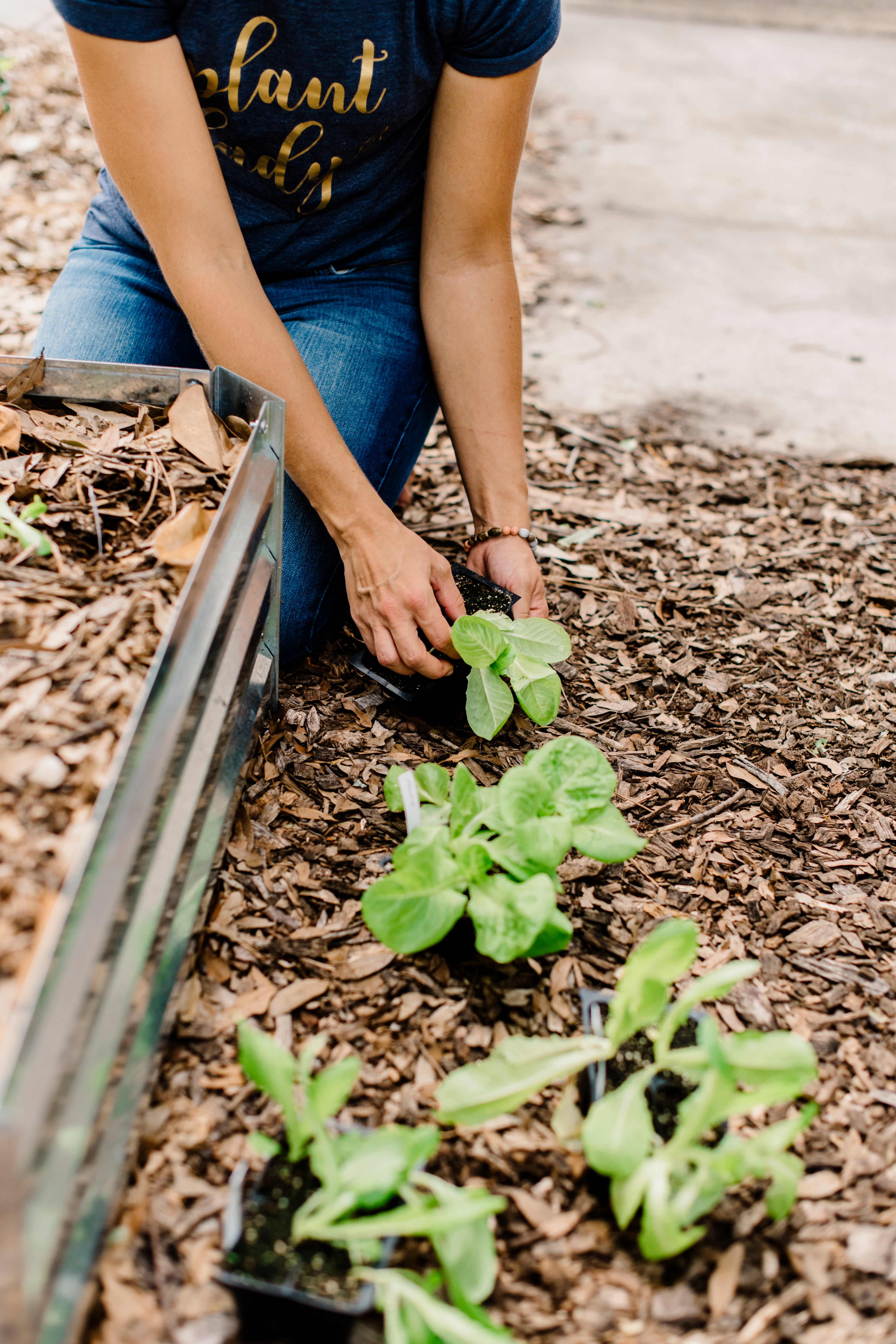 Fall Faves Bundle – The Urban Harvest