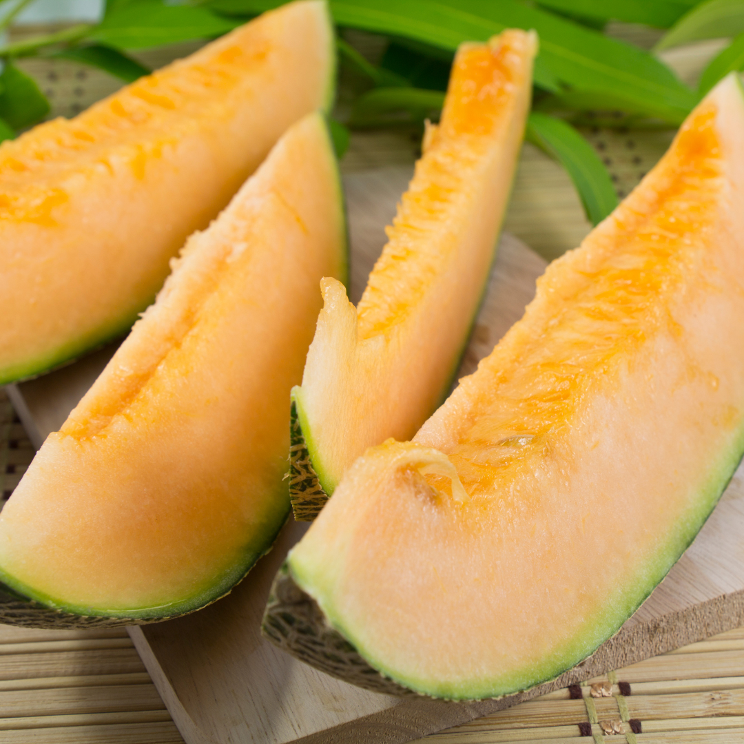 Delicious 51 Muskmelon – TheUrbanHarvest